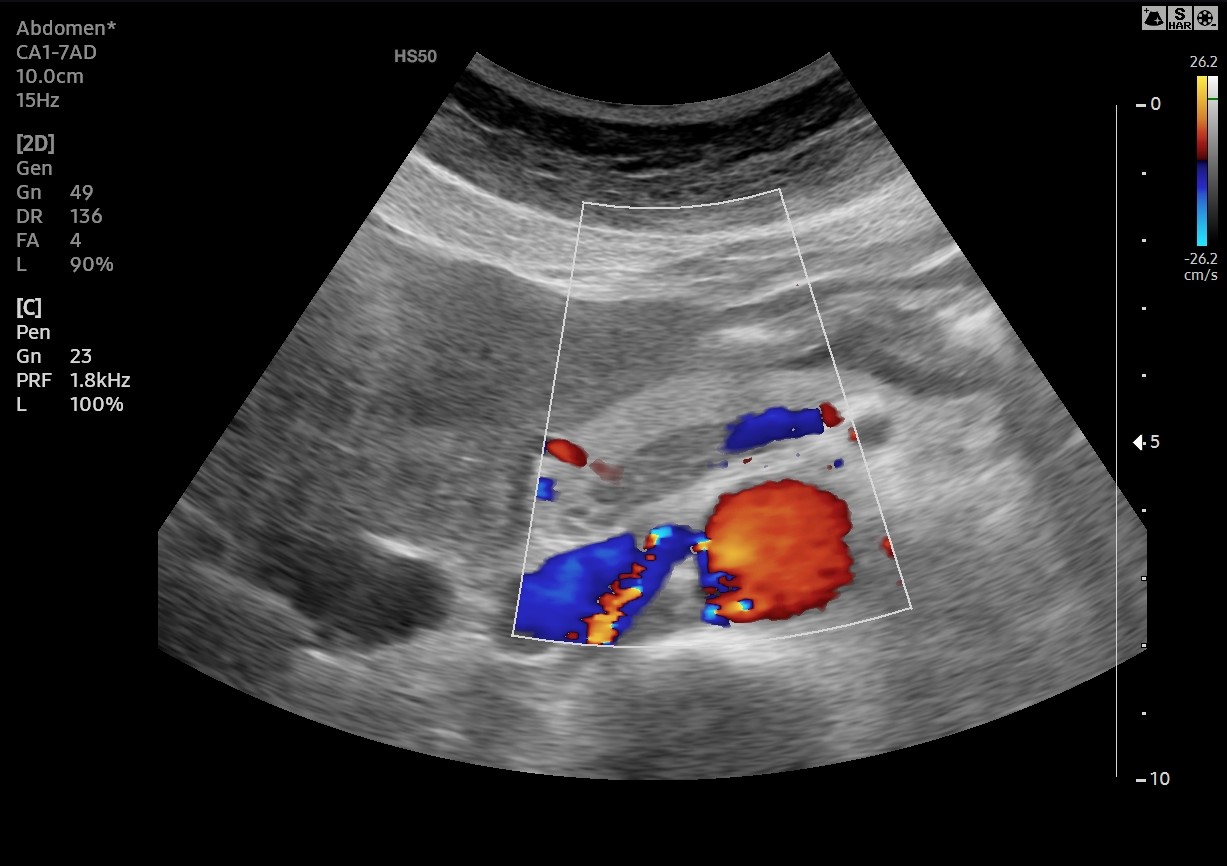 Sono-Atlas - GP Medical Center Westend